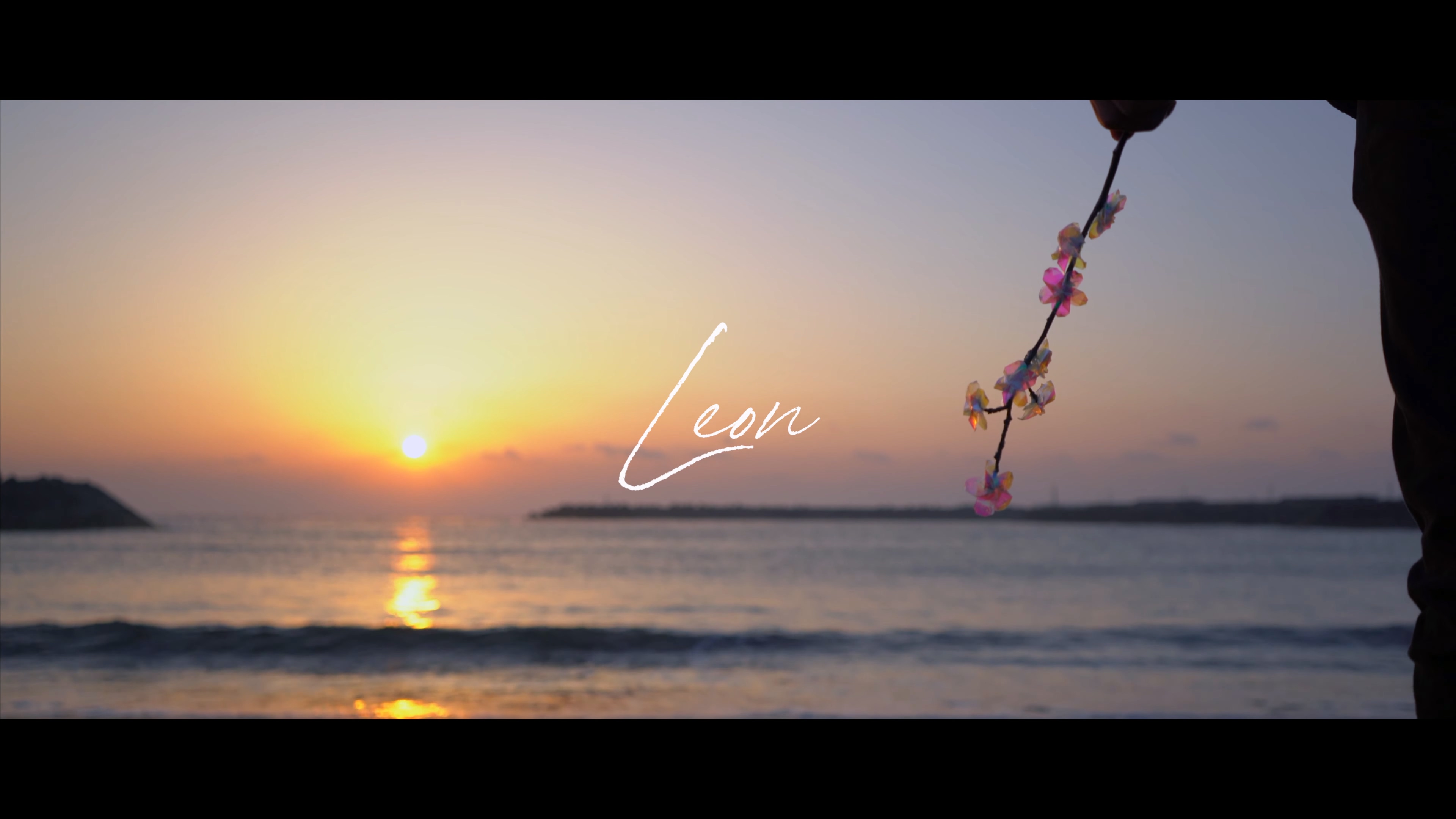 Leon - 萌娘百科_万物皆可萌的百科全书